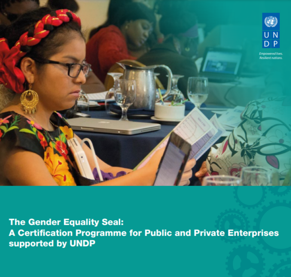 The Gender Equality Seal: A Certification Programme for Public and ...