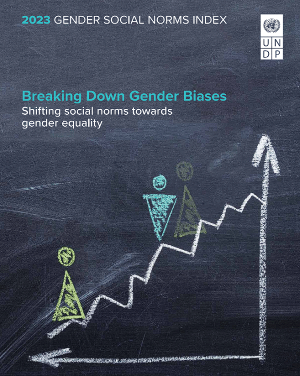 2023 GENDER SOCIAL NORMS INDEX - Breaking Down Gender Biases Shifting ...